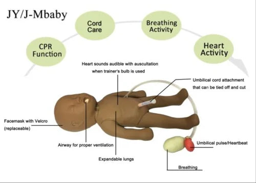 New Born Resuscitation Baby Simulator – REVITI